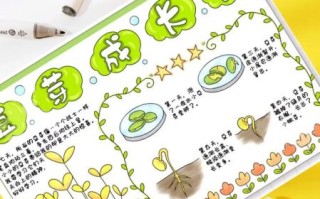豆芽怎么种_豆芽生长过程手绘图
