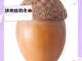 橡子果有什么药用价值_橡子果怎么吃才养生