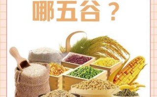 五谷是哪五种粮食_五谷具体指哪5种