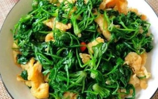 凉拌灰灰菜怎么做_灰灰菜焯水几分钟