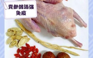鸽子汤怎么炖最壮阳_男人喝多久见效