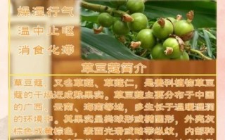 草寇的功效与作用_草寇的禁忌有哪些