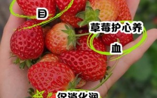 吃草莓的好处和坏处_草莓吃多了会上火吗