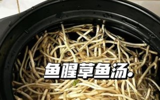 草鱼粥怎么煮才好吃_草鱼粥去腥技巧