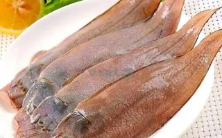 玉秃鱼是什么鱼_玉秃鱼产地在哪里