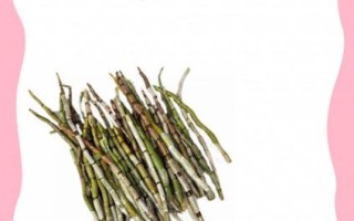 铁皮石斛怎么吃_铁皮石斛食用方法