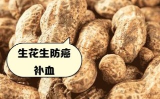 吃生花生的功效与作用_生花生一天吃多少合适
