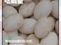 鹅蛋什么人不能吃_鹅蛋禁忌人群有哪些