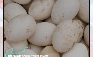 鹅蛋什么人不能吃_鹅蛋禁忌人群有哪些