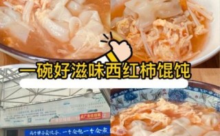 西红柿馄饨汤怎么做_西红柿馄饨汤的家常做法