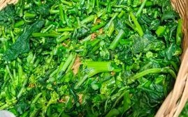 雪菜是什么菜做的_雪菜和梅干菜一样吗