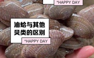 油蛤的功效与作用_油蛤怎么吃最营养