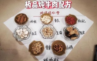 家常炖牛肉怎么炖才软烂_家常炖牛肉放什么调料