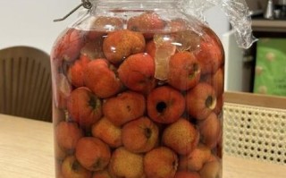 泡山楂酒用什么酒最好_泡山楂酒的做法步骤