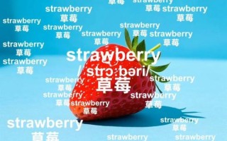 strawberry英语怎么写_strawberry复数形式