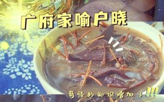 鸡骨草煲猪横利的做法_有什么功效