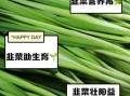 韭菜怎么吃最壮阳_韭菜壮阳的正确吃法