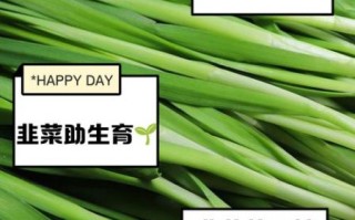 韭菜怎么吃最壮阳_韭菜壮阳的正确吃法