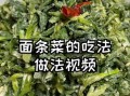 面条菜怎么做好吃_面条菜的营养价值