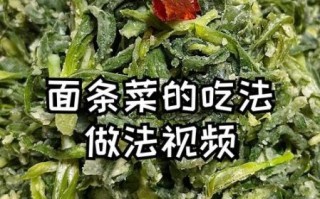 面条菜怎么做好吃_面条菜的营养价值