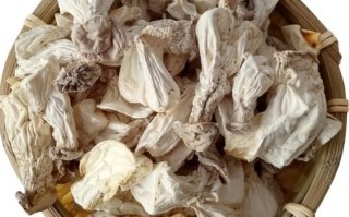 百灵菇怎么做好吃_百灵菇营养价值高吗
