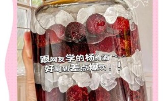 杨梅酒怎么泡才正宗_杨梅酒制作窍门
