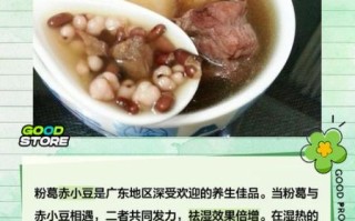 粉葛煲汤的功效与作用_粉葛煲汤适合什么人喝