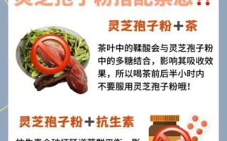 灵芝孢子粉禁忌人群_哪些人不能吃