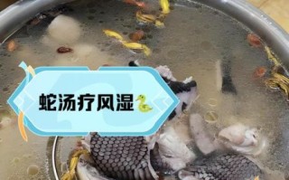 蛇煲鸡汤怎么做_蛇煲鸡汤的功效与禁忌
