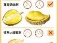 榴莲怎么挑_榴莲怎么保存