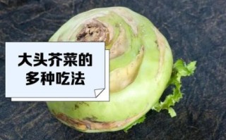 大头菜的功效与作用_大头菜怎么吃最健康