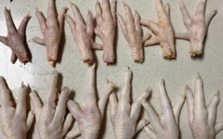 生鸡爪怎么挑选_生鸡爪图片大全哪里找