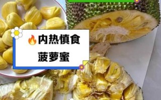 菠萝蜜不适合什么人吃_哪些体质不能吃菠萝蜜
