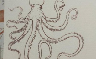 八爪鱼图片怎么画_八爪鱼图片高清素材哪里找