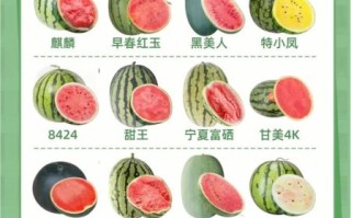 西瓜怎么挑熟的_西瓜怎么看熟不熟