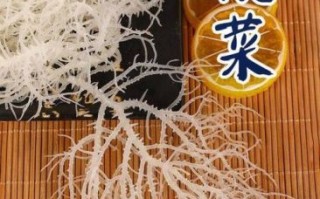 鹿角菜是什么植物_鹿角菜和龙须菜区别