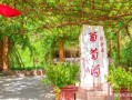 葡萄沟在哪里_葡萄沟有什么特色