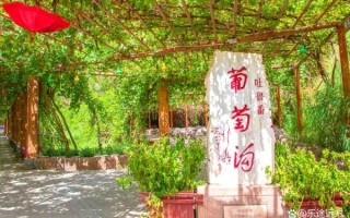葡萄沟在哪里_葡萄沟有什么特色