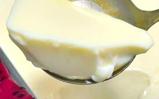 免烤焦糖牛奶鸡蛋布丁怎么做_为什么布丁不凝固