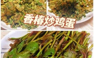 红香椿炒鸡蛋怎么做_红香椿炒鸡蛋需要焯水吗