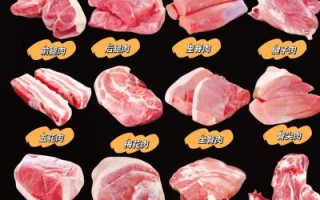 金钱肉是哪个部位_金钱肉是猪的什么肉