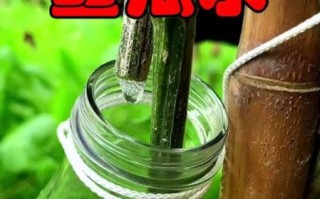 丝瓜水怎么保存_丝瓜水可以放多久