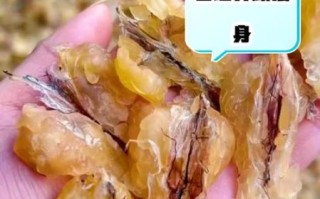 雪蛤对男性性功能有用吗_雪蛤怎么吃效果最好