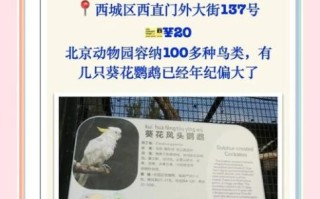 葵花鹦鹉多少钱一只_葵花鹦鹉怎么养