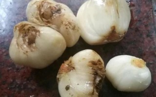 清蒸百合怎么做不苦_清蒸百合的功效与禁忌