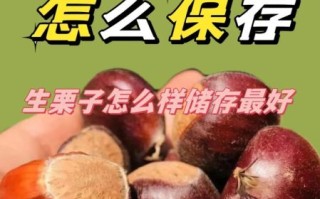 鲜栗子怎么保存时间长_鲜栗子可以放冰箱吗