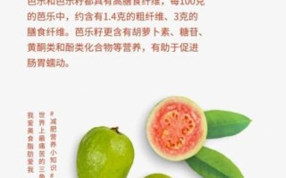 芭乐热量高吗_芭乐能减肥吗