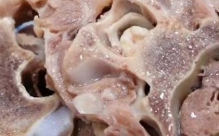 羊蝎子清汤怎么做_羊蝎子清汤需要焯水吗