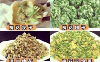 洋槐花冷冻半年还能吃吗_冷冻洋槐花保质期多久