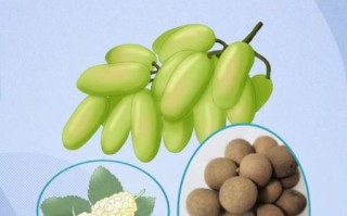 贫血不能吃什么水果_贫血禁忌水果有哪些